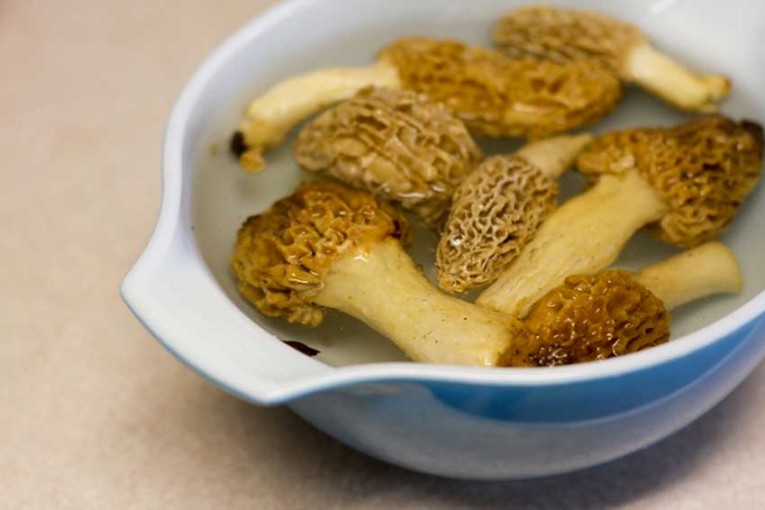 Cómo deshidratar colmenillas La Casa de las Setas