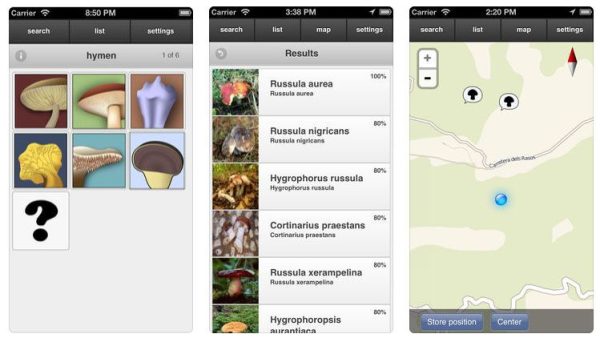 Mejores Apps para buscar setas【2020】La Casa de las Setas