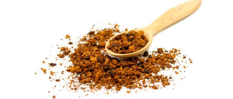 ️ Hongo Chaga, propiedades y beneficios para la salud La Casa de las Setas