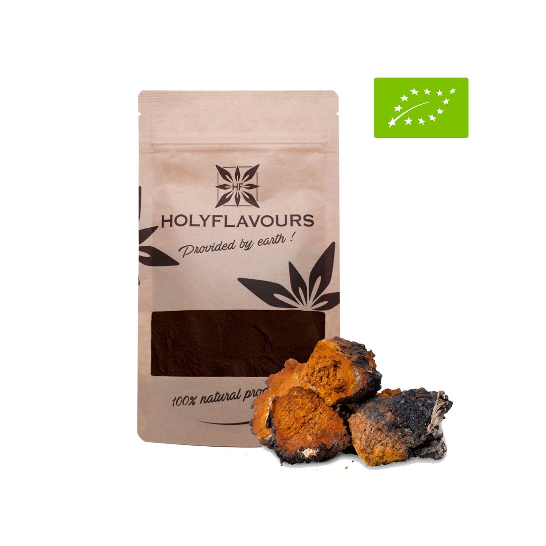 Hongo Chaga, propiedades y beneficios para la salud de Inonotus ...