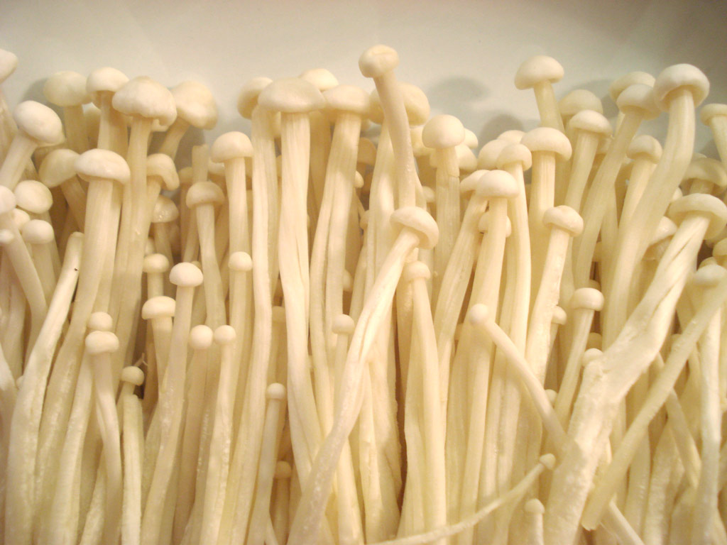 Enoki, seta Flammulina velutipes: delicados pies de terciopelo ⊛ Blog ...