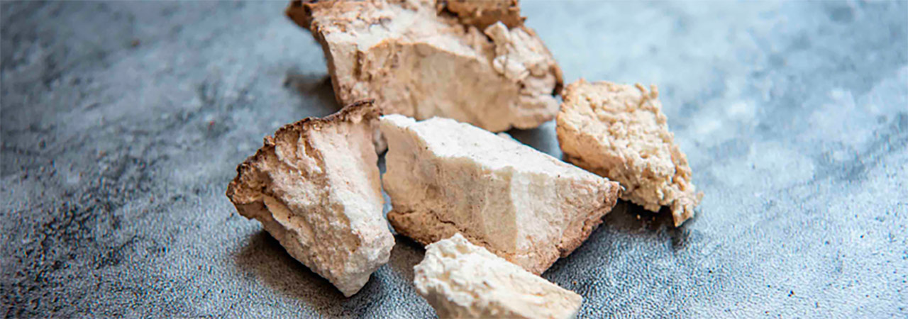 Poria cocos, Wolfiria extensa, un políporo con excelentes propiedades ...